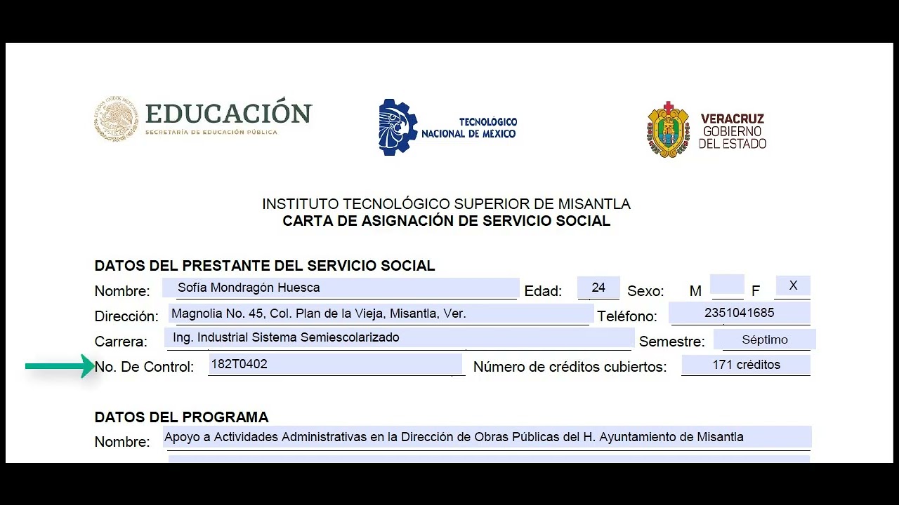 Carta de servicio social - Carta Creativa